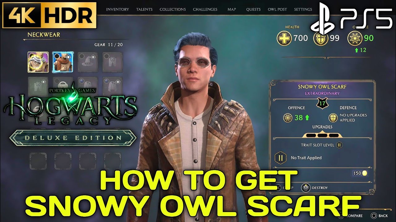 How to Get Snowy Owl Scarf HOGWARTS LEGACY Snowy Owl Scarf Location ...