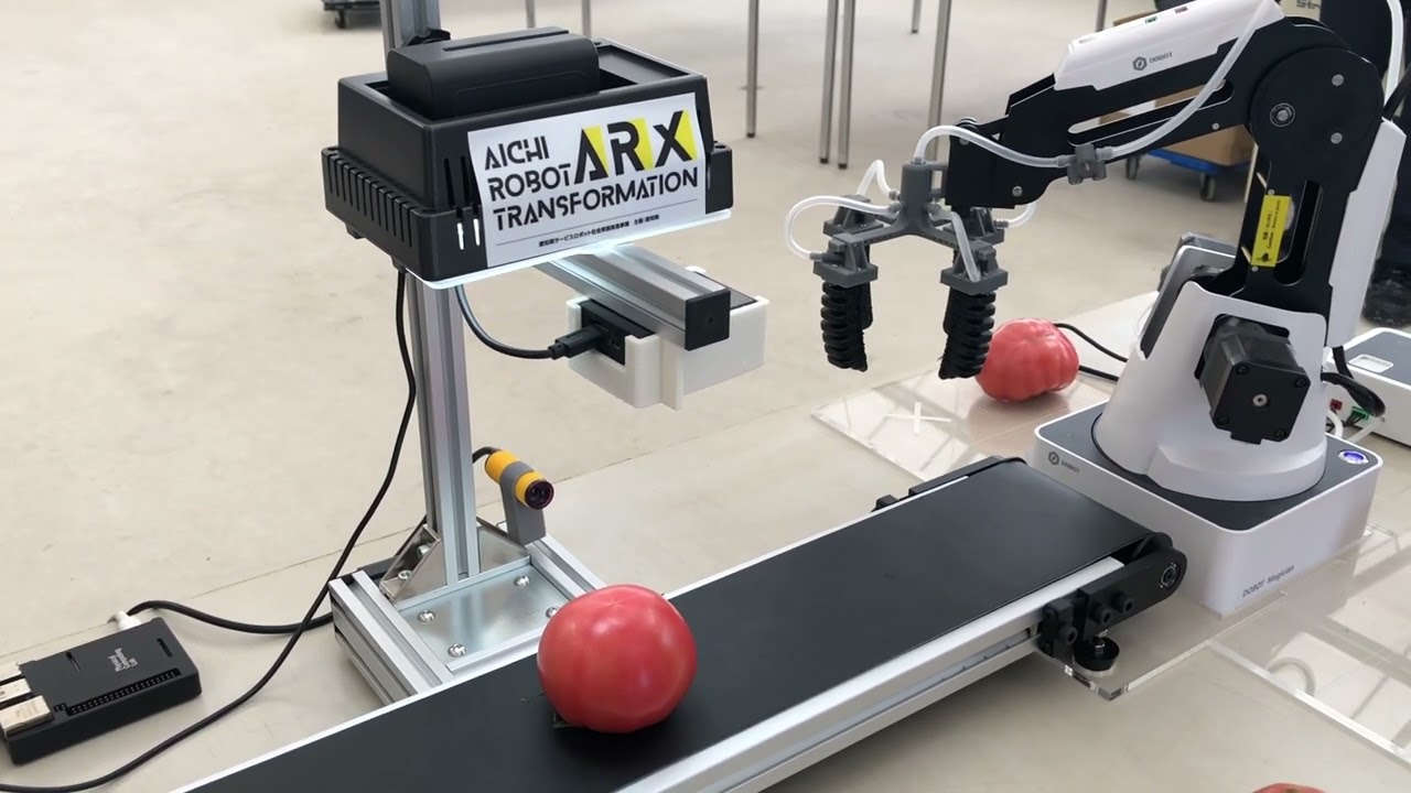 AI robot that inspects tomatoes at a tomato farm , GRIPS Japan - YouTube