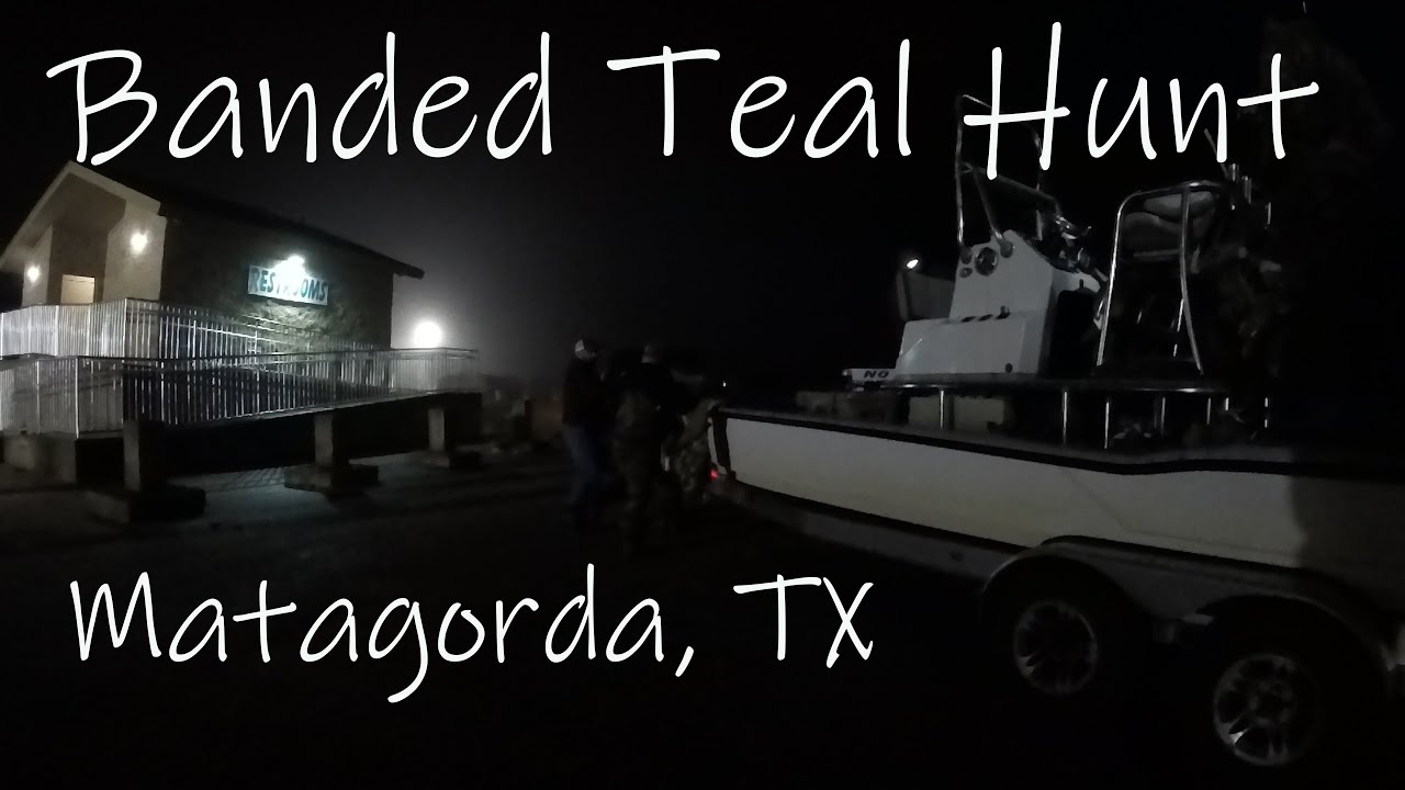 "THE BANDED TEAL" - Duck Hunting Matagorda, TX - Who killed the banded ...