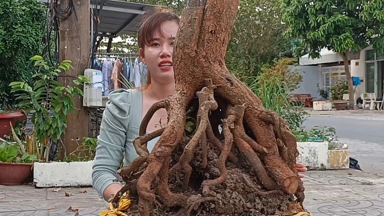 @Mai tứ quý phoi GL ng 21/12/2022(zalo_0355 012 347 Mỹ XUYÊN)_Q.Bình ...