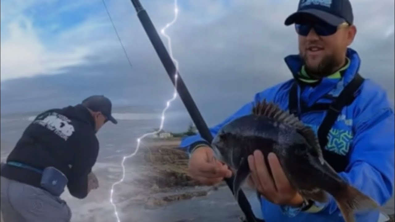 Black Musselcracker, Red Roman and Bronze Bream... - YouTube