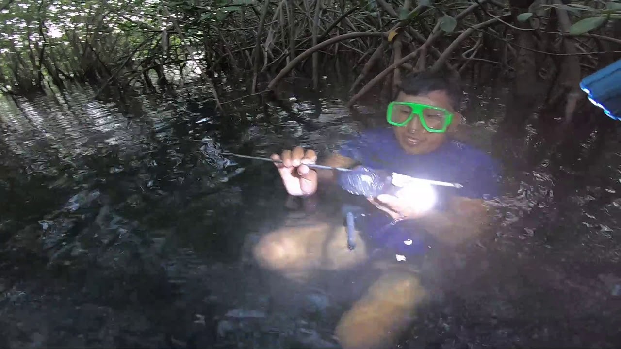 Le pegamos a los pululos en la anochecida #2 - YouTube