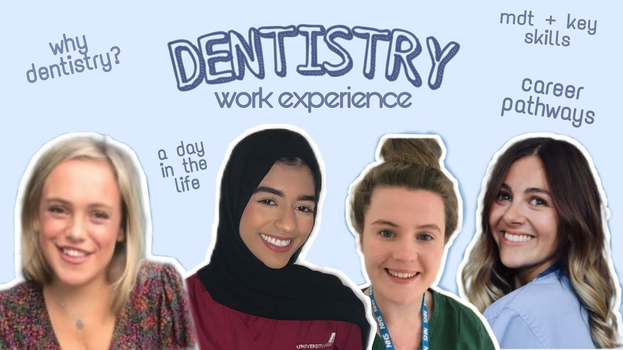 Everything You Need To Know About Becoming A Dentist: Work Experience ...