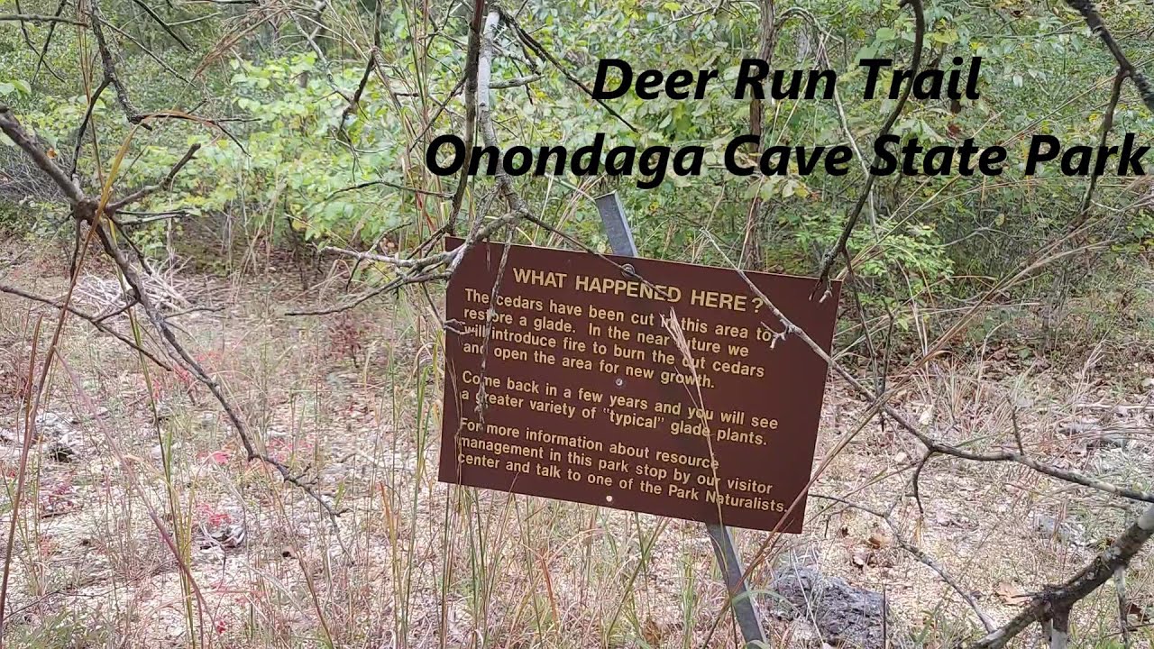 Deer Run Trail - YouTube