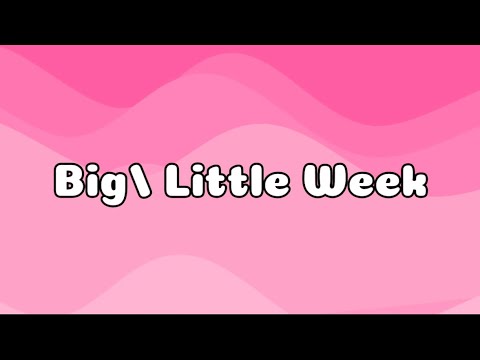 Big/ Little Week: Samford - YouTube