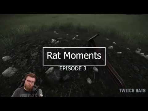 RAT MOMENTS #3 - BEST EFT HIGHLIGHTS - YouTube