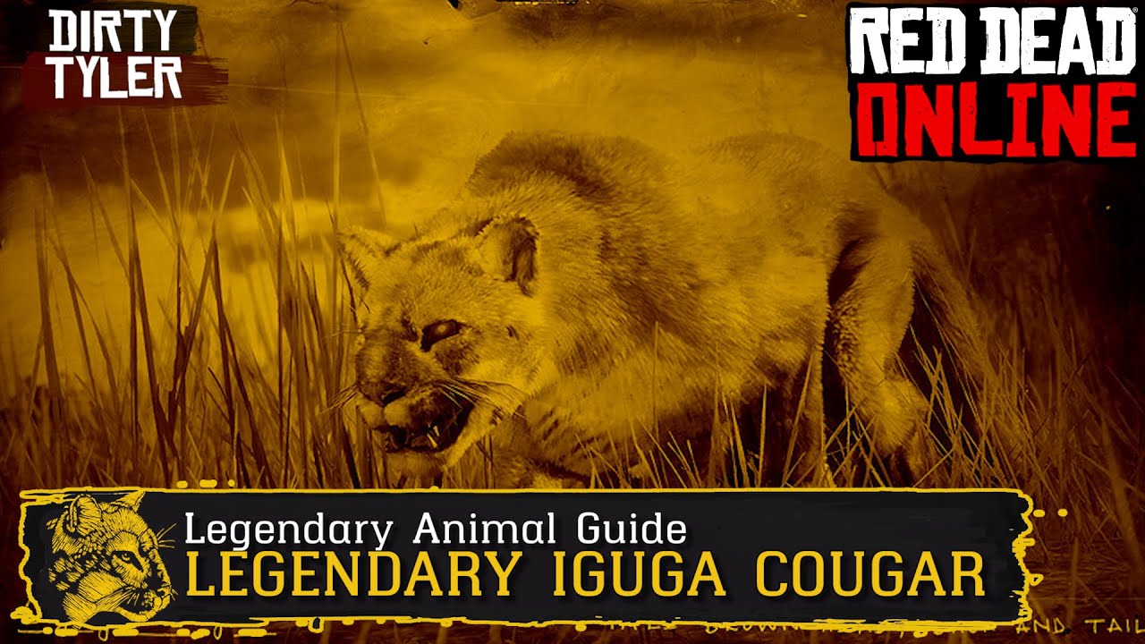 Red Dead Online: Legendary IGUGA COUGAR Legendary Animal Guide ...