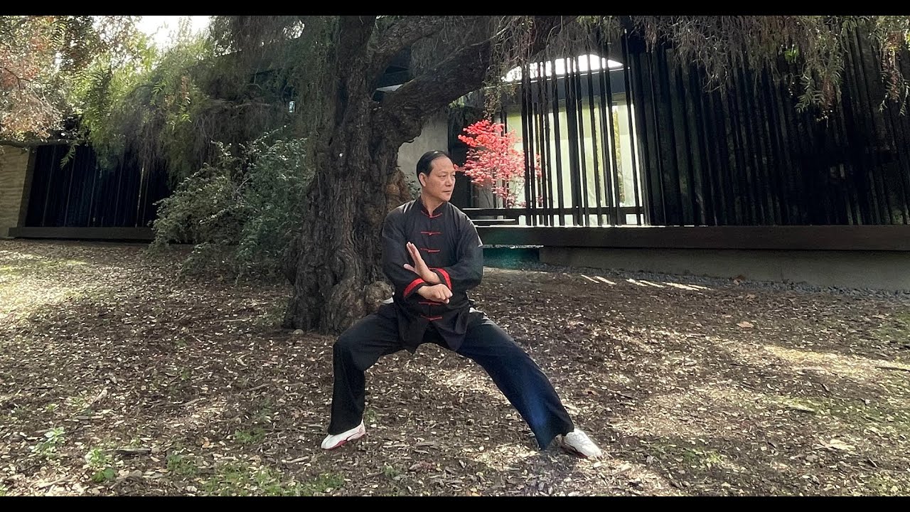 Master Shudong Li New Style Tai Chi 1st Form April 16 Record for ...