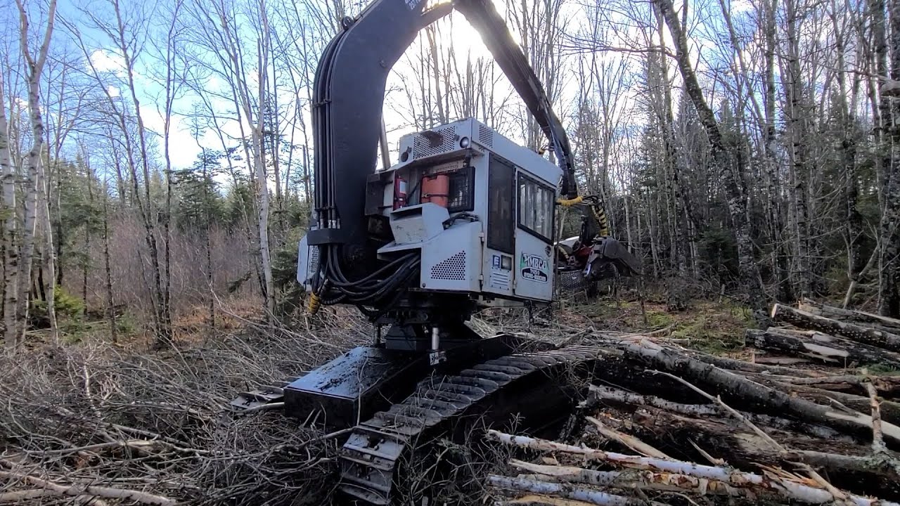 Tree Harvester - YouTube