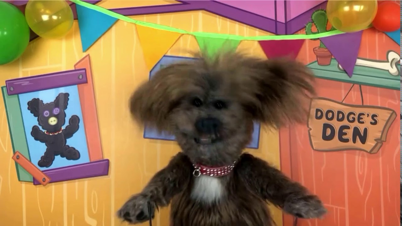 CBeebies Birthday 11th Of January 2021 - YouTube