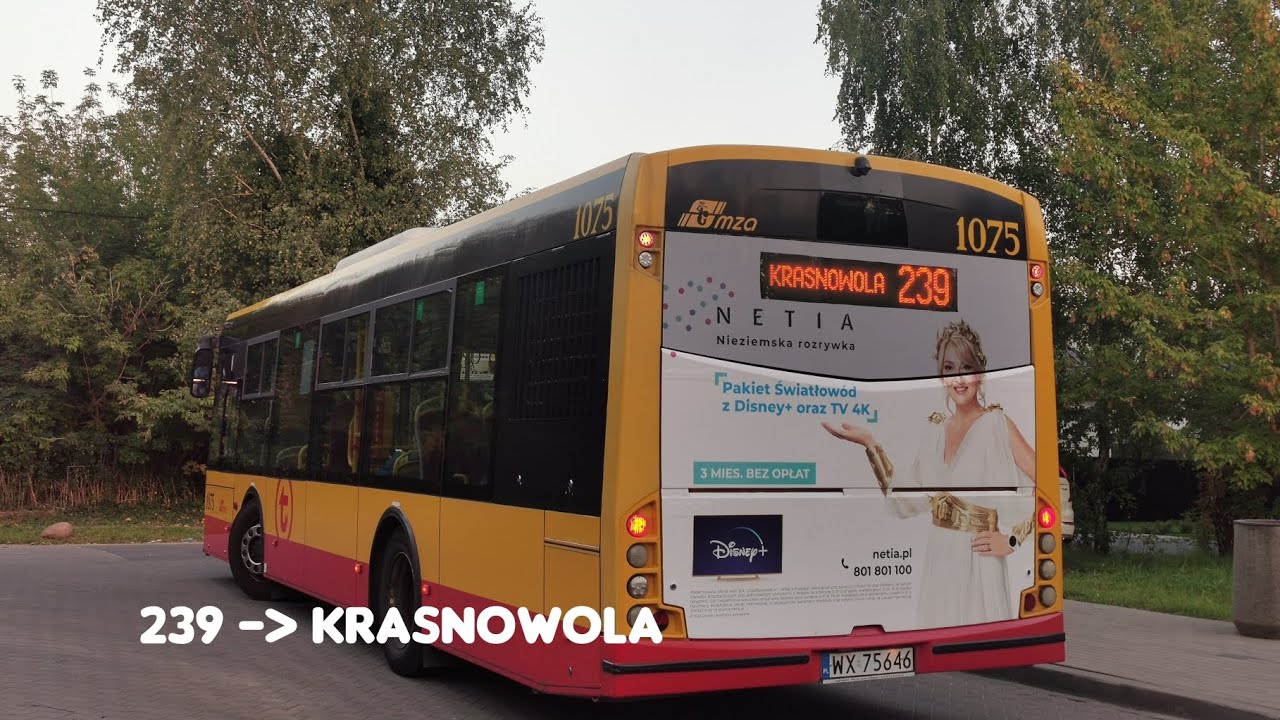 239 ️ Krasnowola - Solbus SM10 #1075 MZA Warszawa ( Dziwadło ) - YouTube