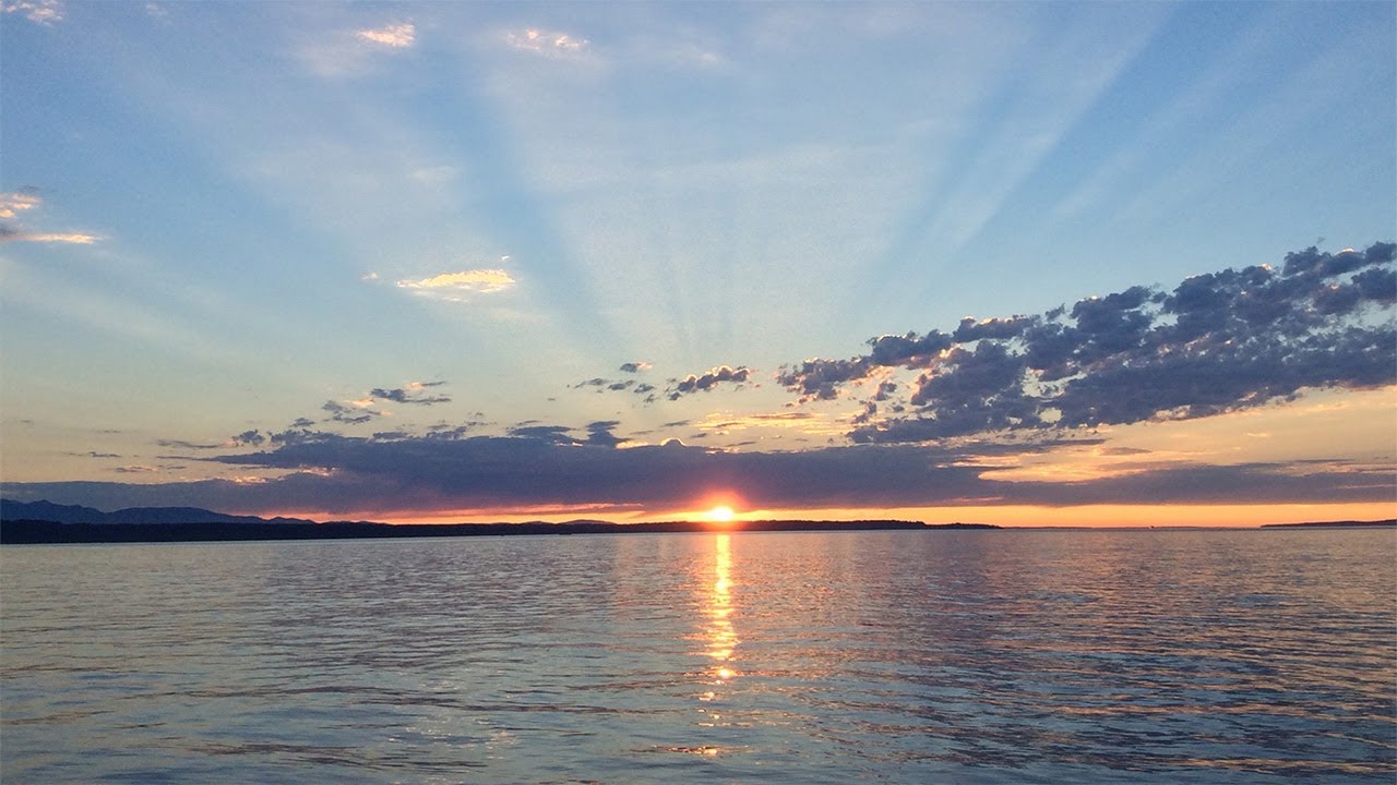 Moodle app installation and features - YouTube