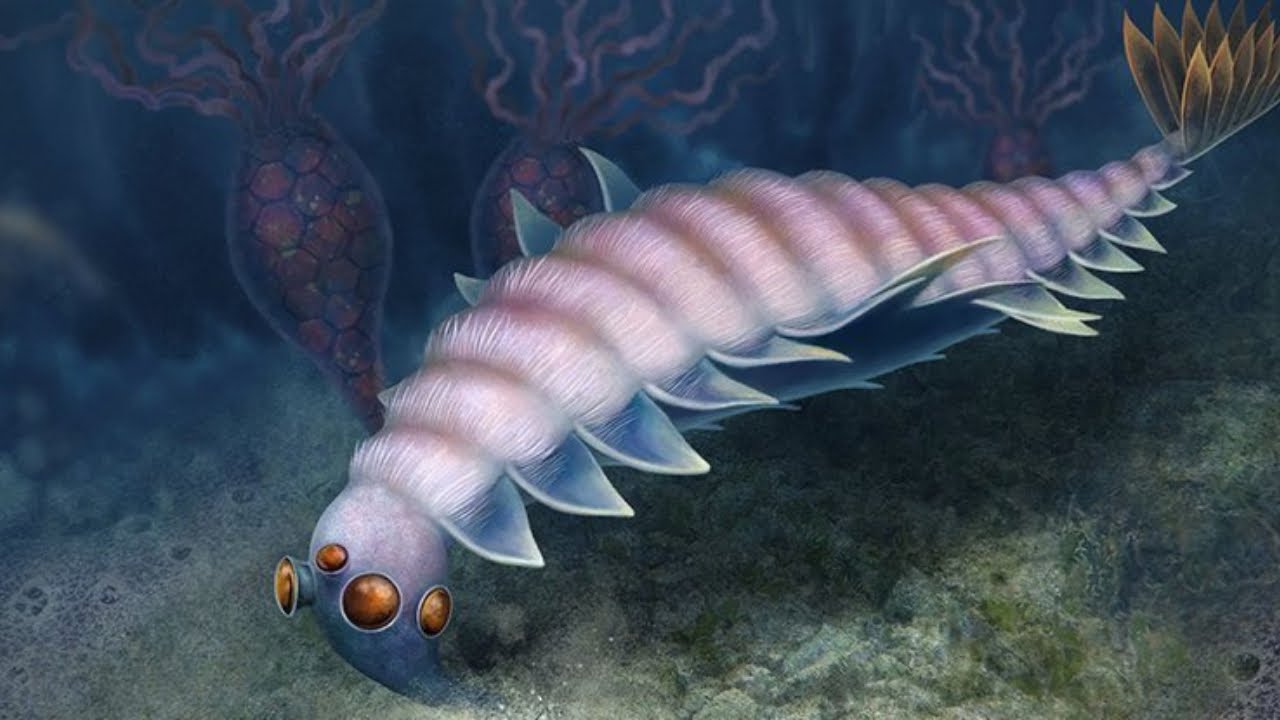 Weird, Extinct Animal Species Identified in First Such Finding in Over ...