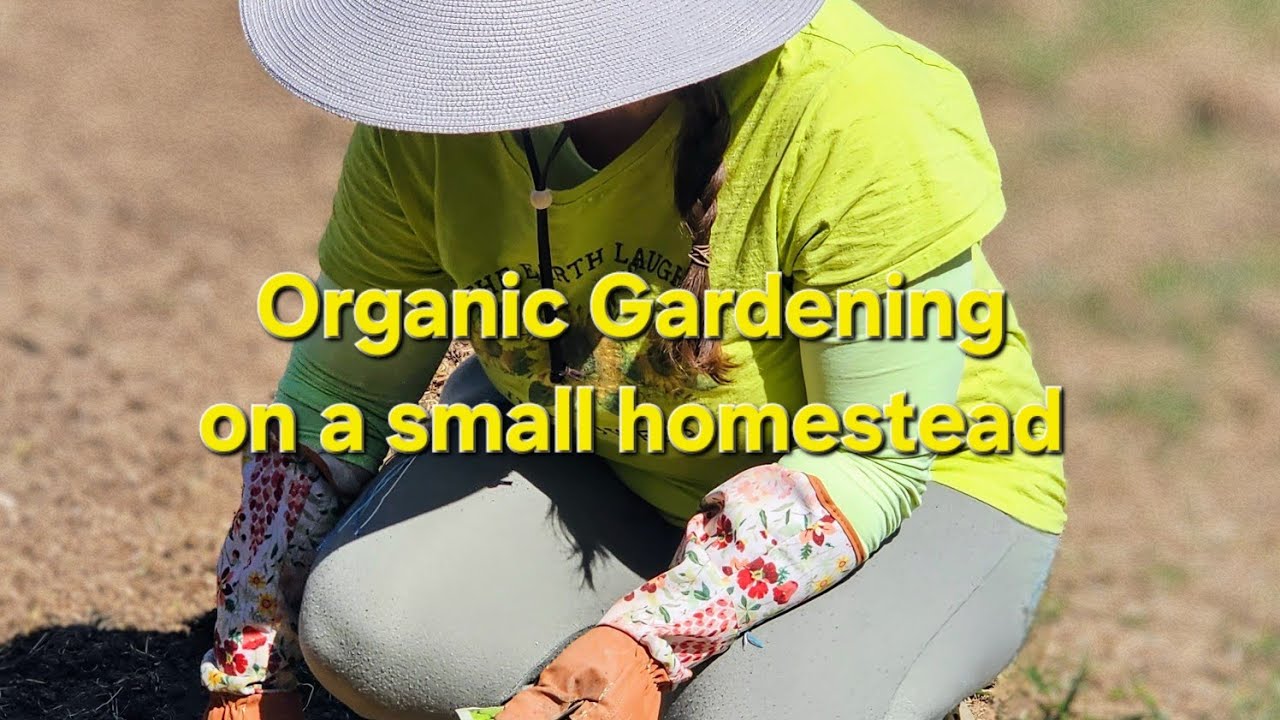 Organic Gardening on a Mini-Homestead - YouTube