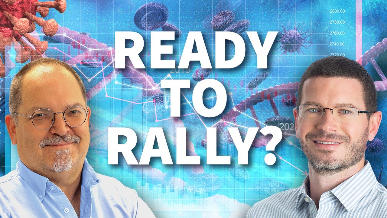 True Rally … or a Dead Cat Bounce? Here’s How to Tell… - YouTube