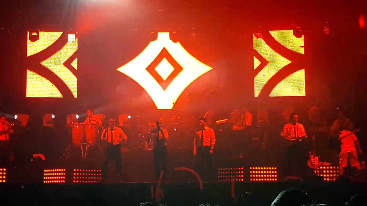 super lamas. cachete con cachete - YouTube