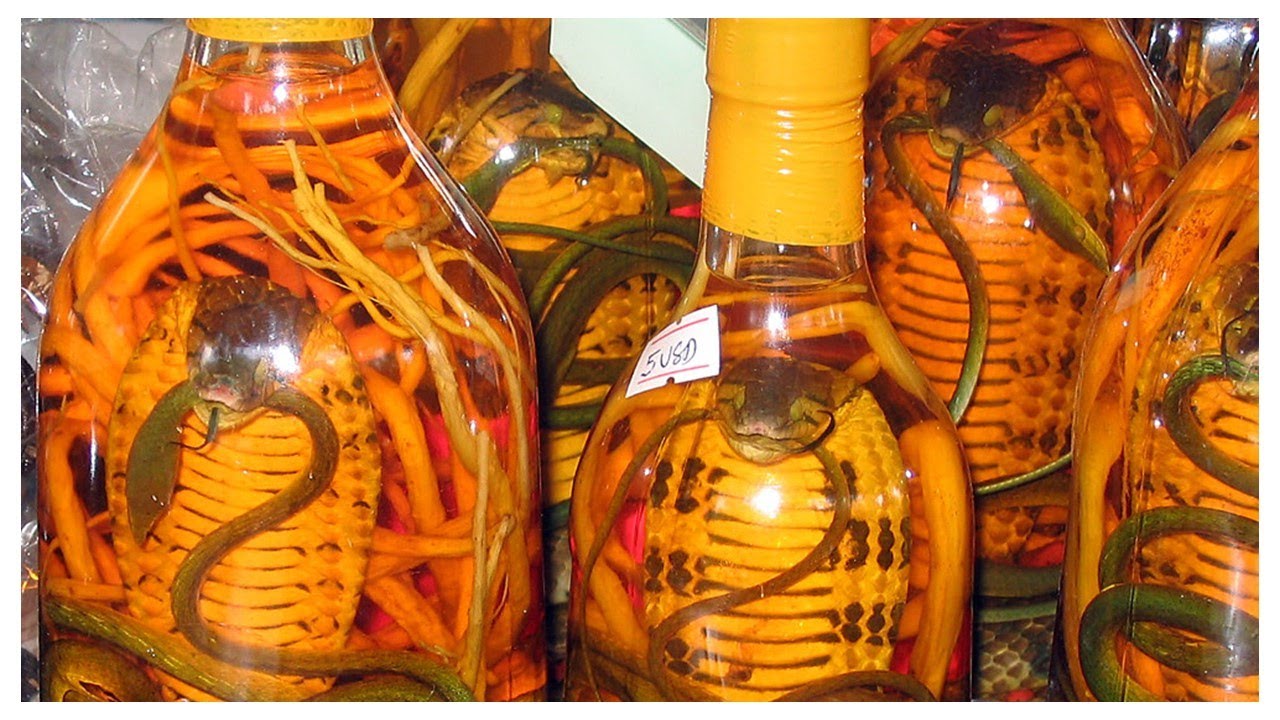 Did You Know These 5 Exotic Foods Around The World YouTube did-you-know-these-5-exotic-foods-around-the-world-youtube