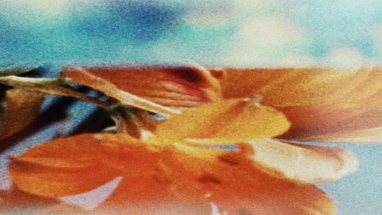 Hope Sandoval & The Warm Inventions - Sparkly - YouTube