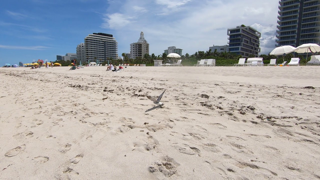 Miami Beach 1 - YouTube