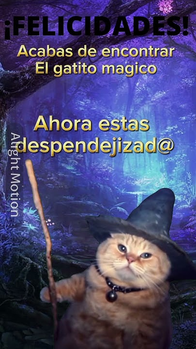 Felicidades acabas de encontra al gatito mágico, ahora estas despendejizad@ ️🔮 #humor #memes ...