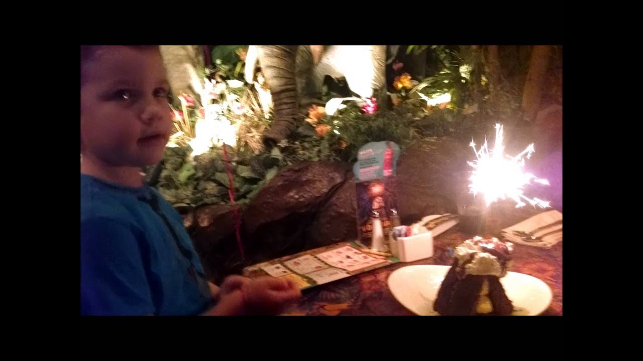 Volcano Birthday Cake at Rainforest Cafe - YouTube
