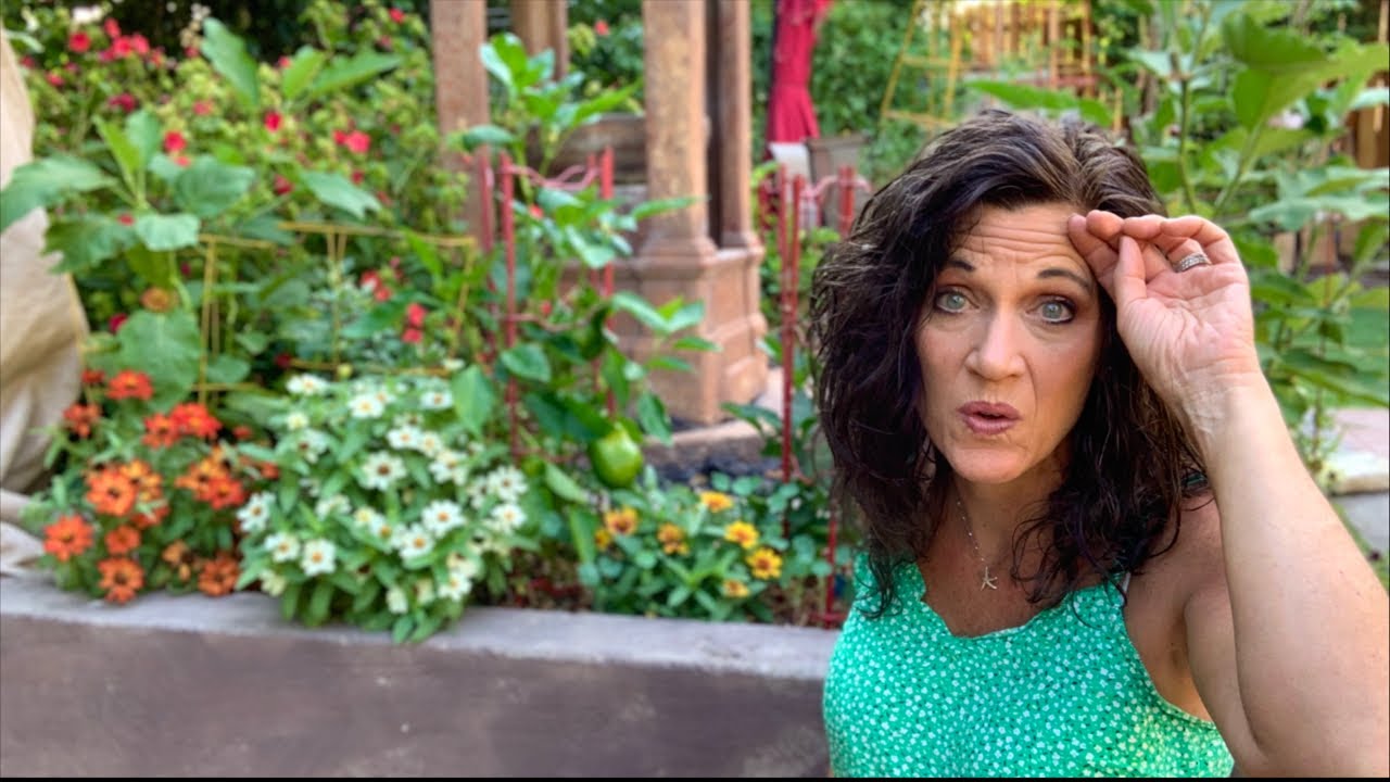 🍅LIVE: How to Avoid/Deal with Summer Garden Burnout (REPLAY) - YouTube