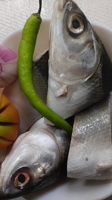 #Milkfish Head - YouTube