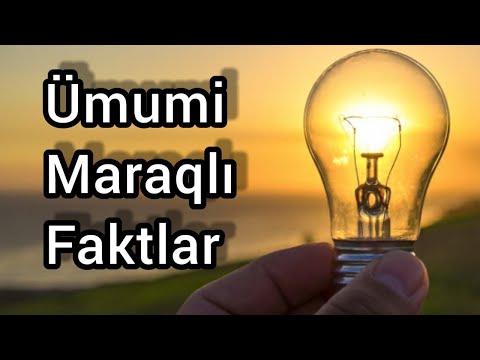 Ümumi maraqlı faktlar