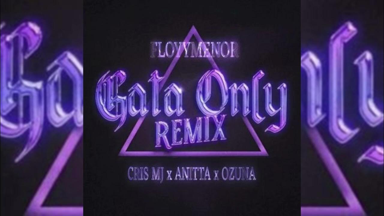 FloyyMenor, Cris MJ, Anitta, Ozuna - Gata Only Remix - YouTube
