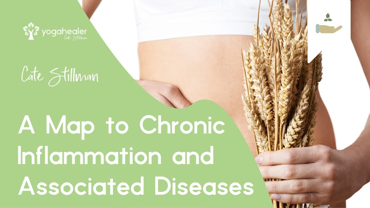 A Map to Chronic Inflammation and Associated Diseases - YouTube