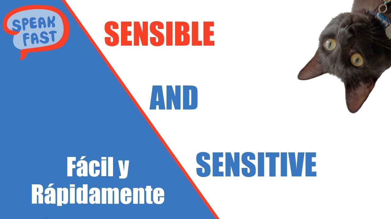 Sensitive y Sensible ¿Son iguales? ¿Son diferentes? ¿Cómo usarlos ...