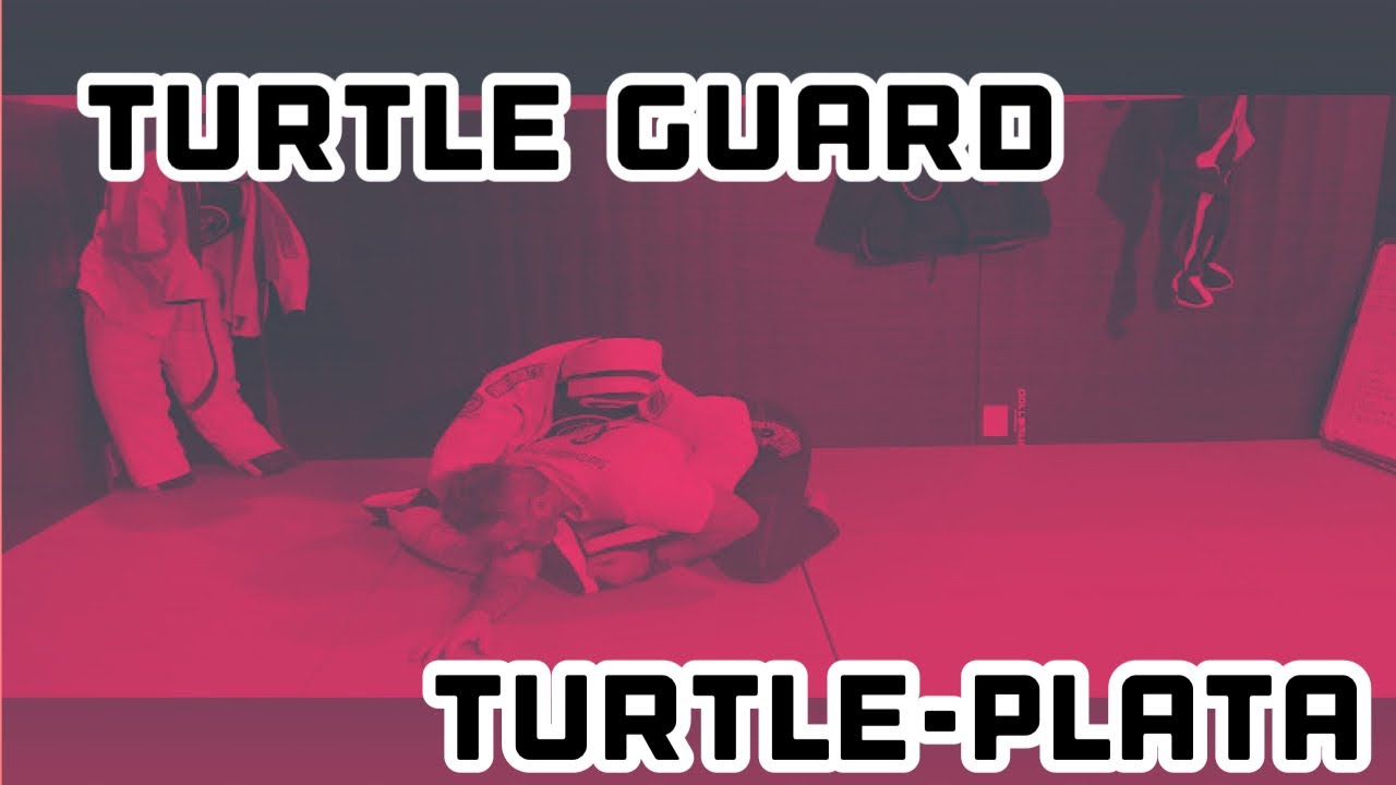 Turtle Guard - Turtle-Plata #Turtle #EduardoTelles - YouTube