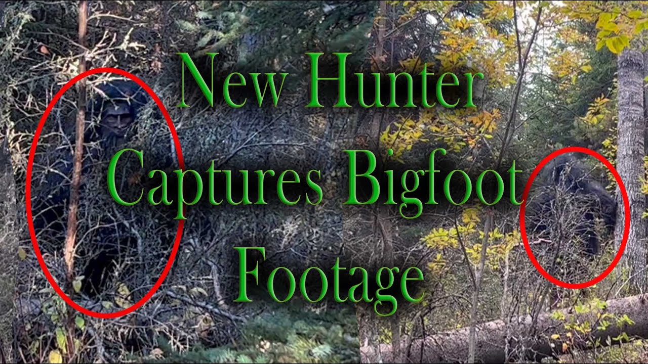 New Hunter Captures Bigfoot Video - YouTube