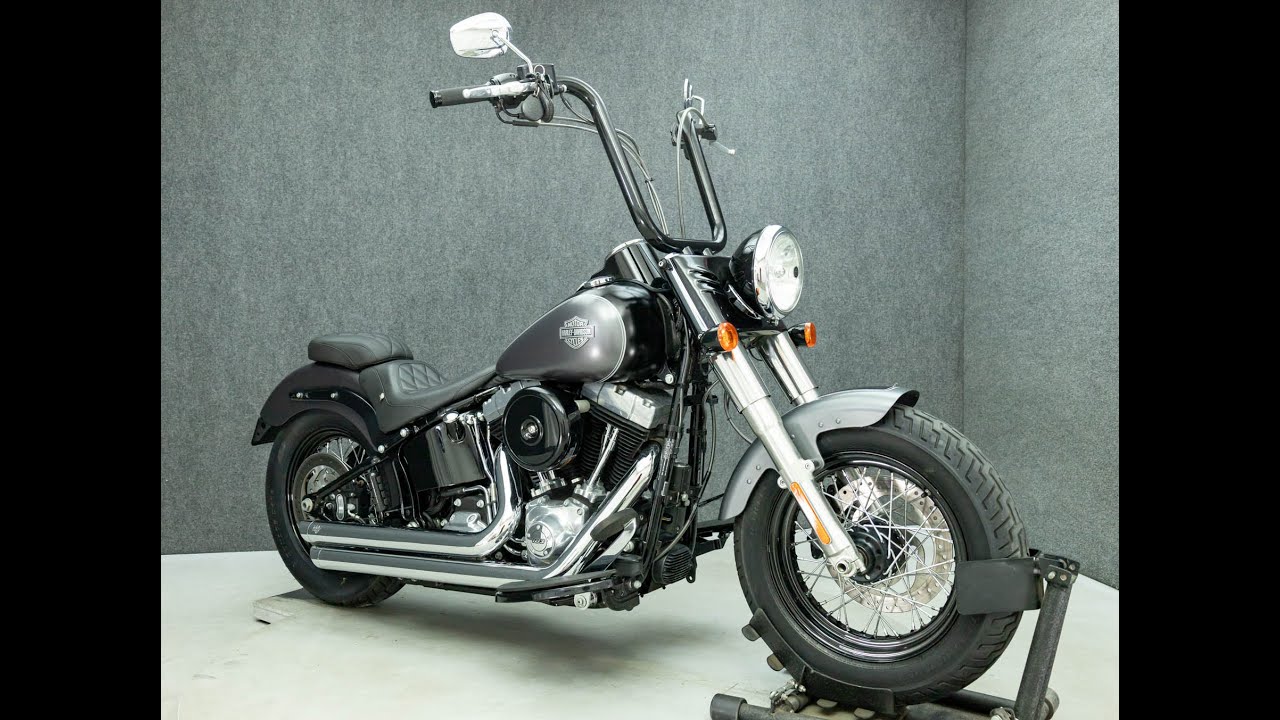 2015 HARLEY DAVIDSON FLS SOFTAIL SLIM W/ABS - National Powersports ...