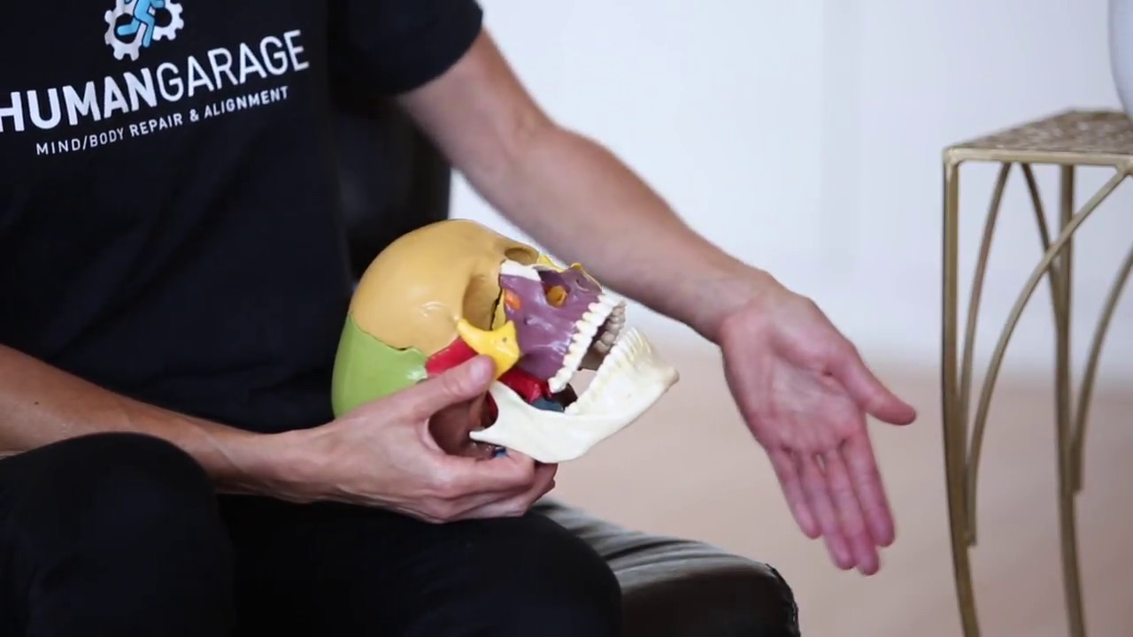 How Craniopathy can balance movement and fix your pain! - YouTube