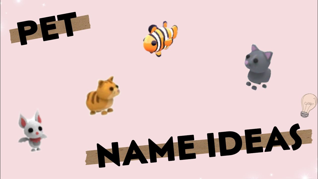 cute-name-ideas-for-your-pet-youtube