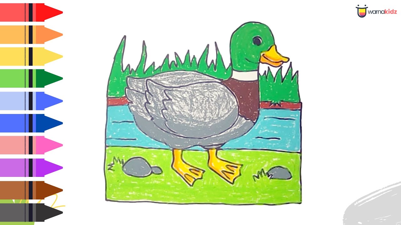 Cara Menggambar dan Mewarnai Bebek | How to Draw and Coloring Duck ...