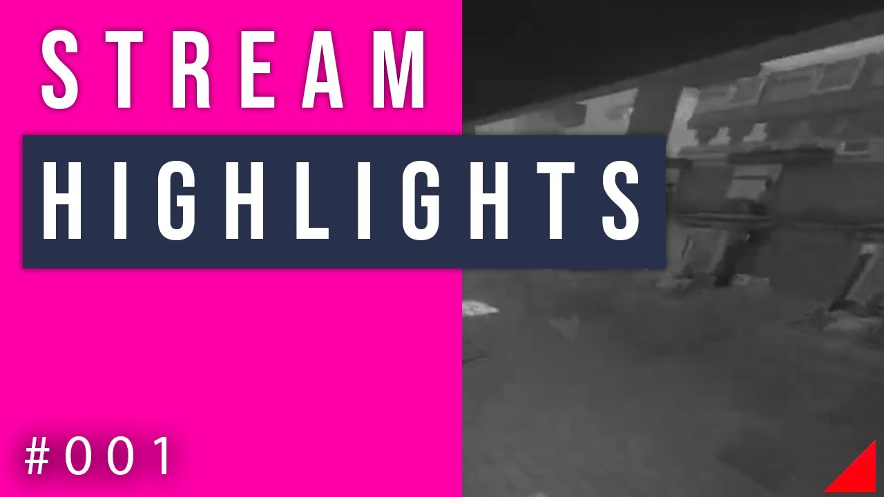 Stream Highlights #1 - Black Hair Etiquette, Elytra Training, & Korean R&B - YouTube