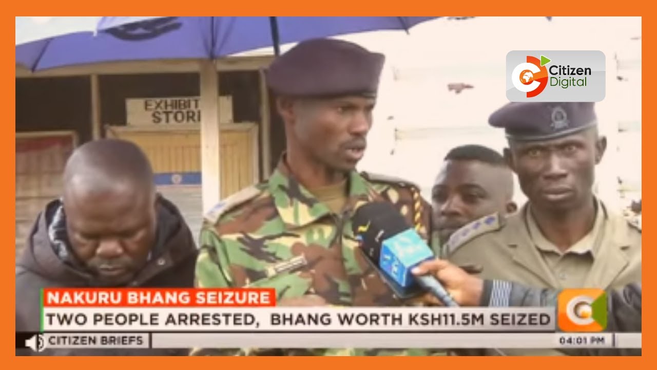 Two people arrested and bhang worth ksh11.5m seized - YouTube