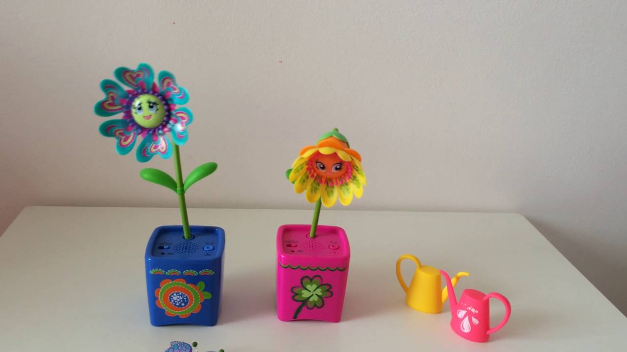 magic blooms - YouTube