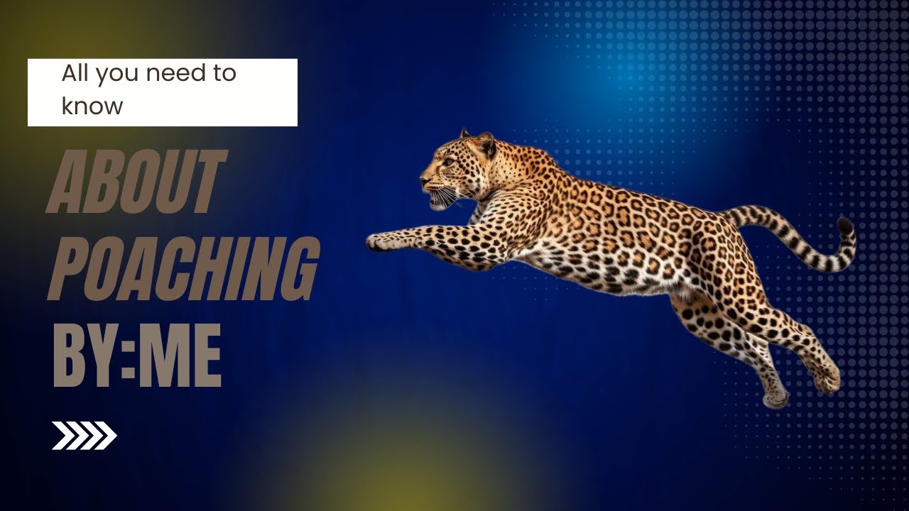 Everything you need to know about poaching - YouTube