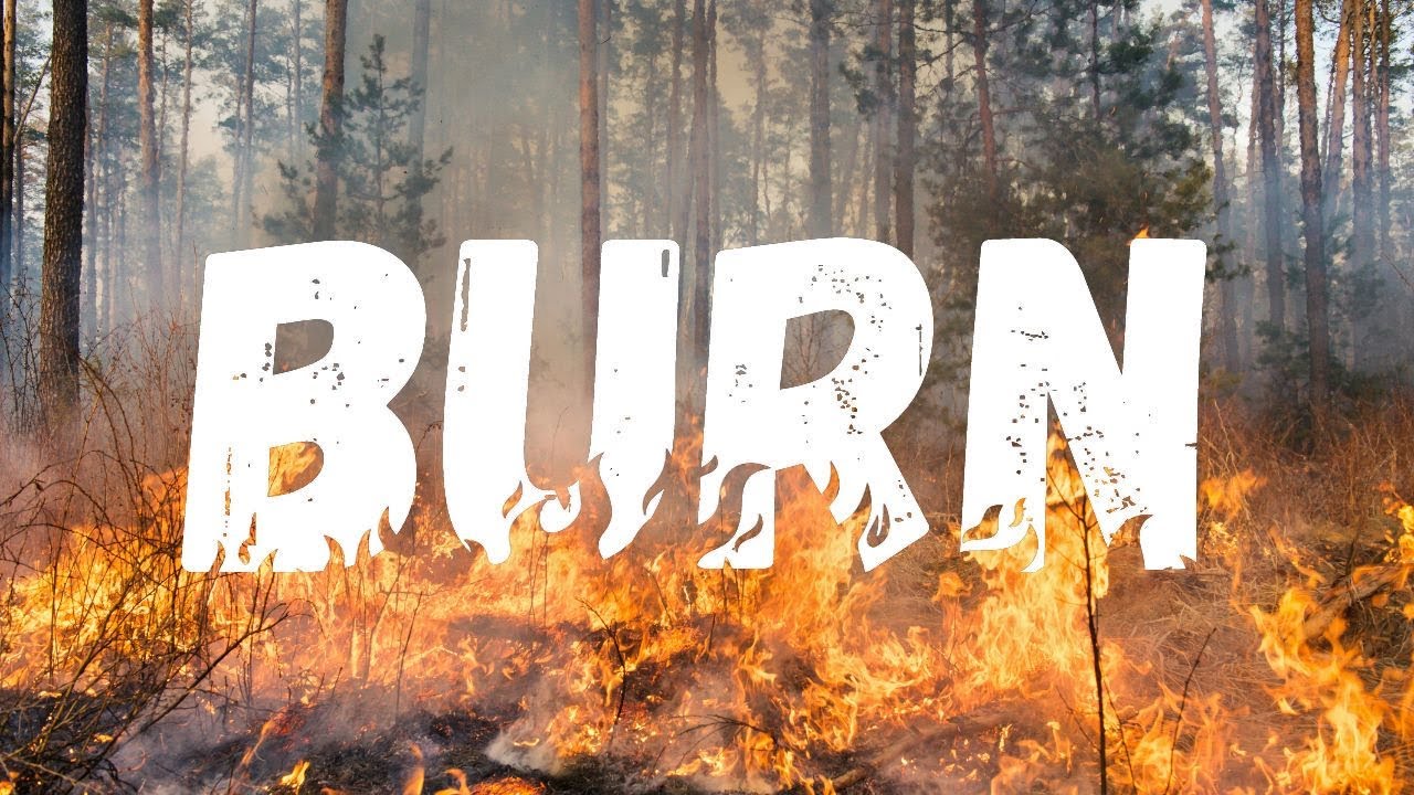 Tutorial Canva Terbaru: Cara Membuat Efek Tulisan Terbakar Api - YouTube