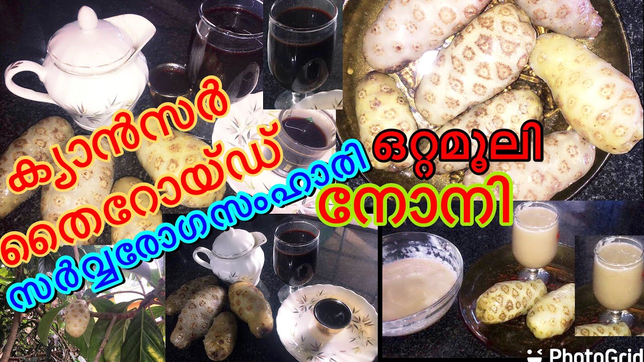 #NONI_PAZHAM_WINE #NONI_BENEFITS_IN_MALAYALAM #HOW_TO_USE_NONI #NONI ...