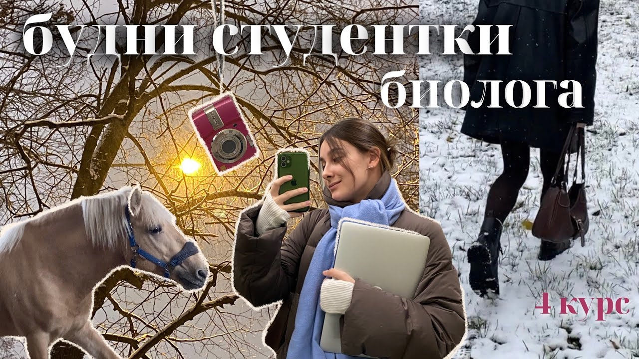 vlog 16: студенчество|минусы общежития|видео с цифровика 2008 года ...