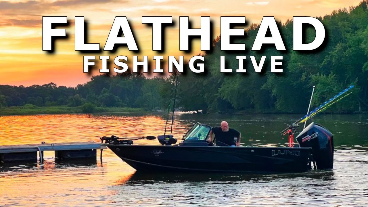 Let's GO Flathead Catfishing Live! - YouTube