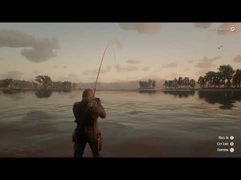 RDR2 legendary bluegill location - YouTube