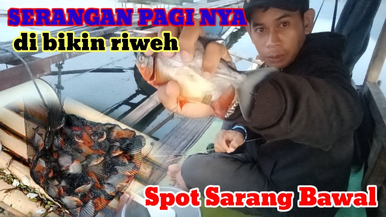 SPOT SARANG BAWAL PATOK BESI || MANCING RAKIT GUSUR TERBARU MINGGU INI @STREAKFISHING - YouTube