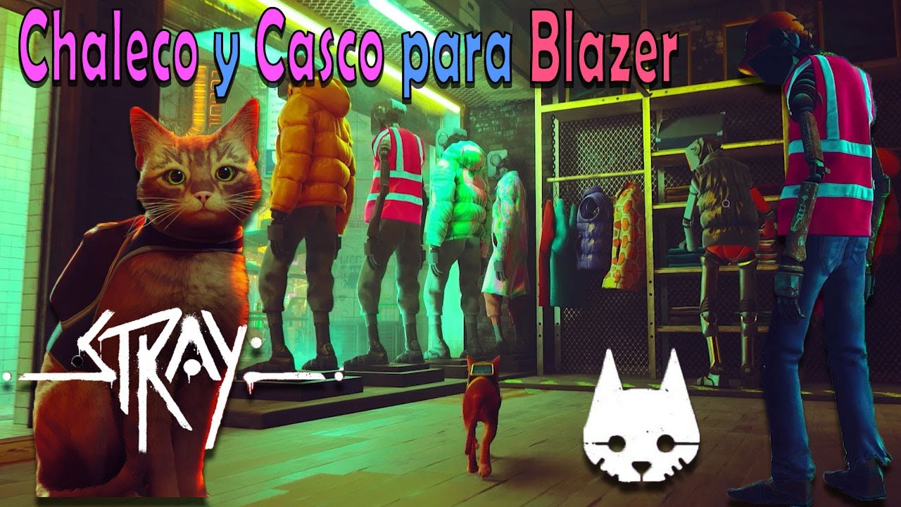 Stray - Dónde conseguir un CHALECO y un CASCO para Blazer - YouTube