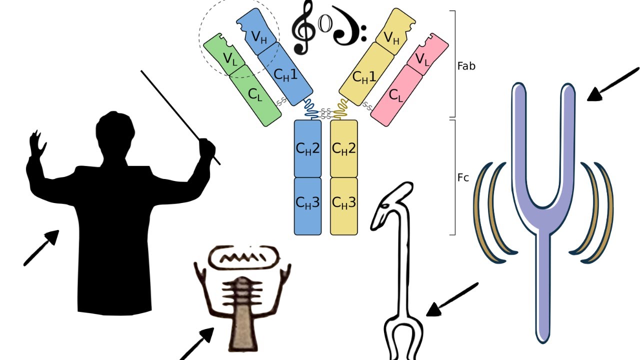 Dr. EnQi Prayer Secrets Again - YouTube