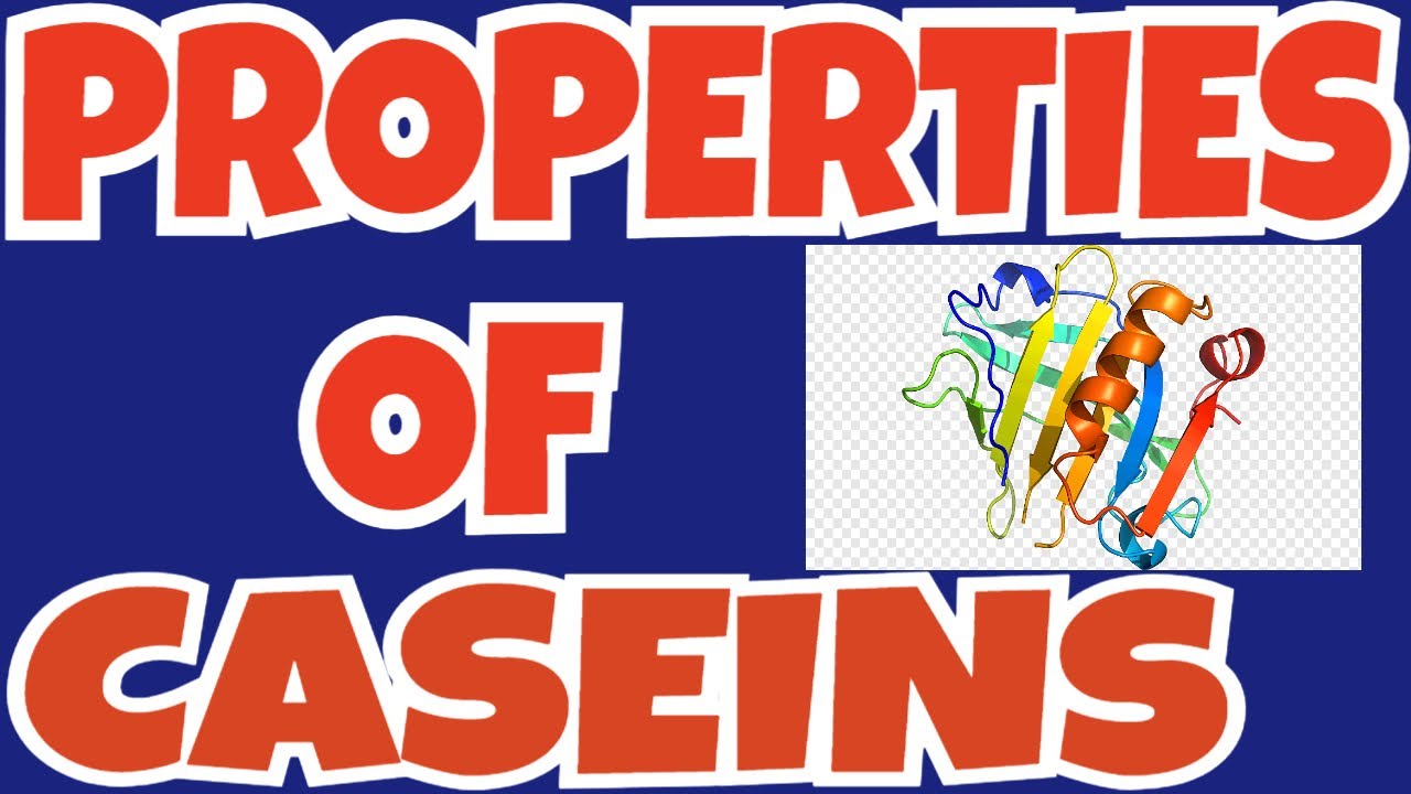Properties of casein II Dairy Chemistry - YouTube